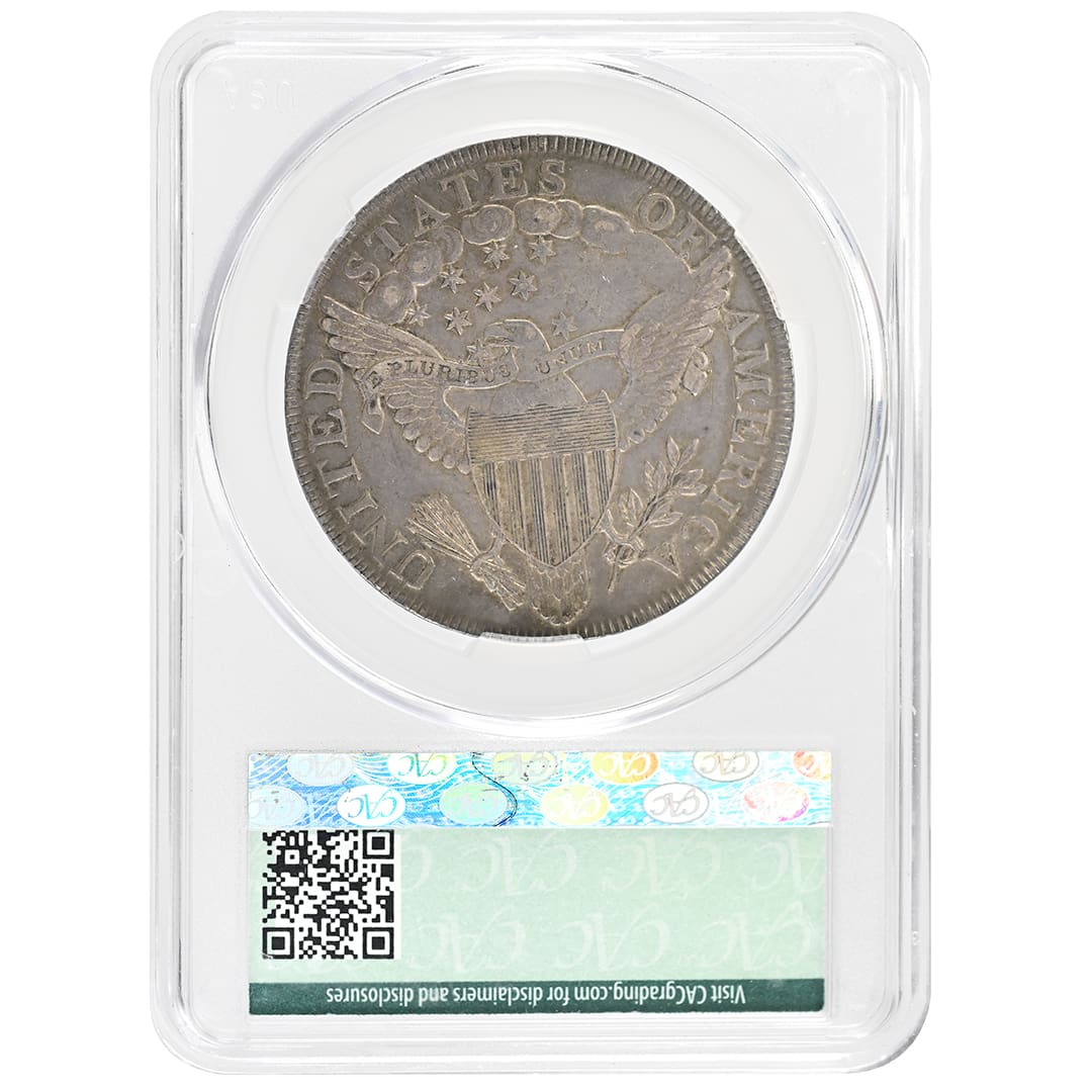 1799 $1 Draped Bust Dollar CACG XF40 Obverse Stars 8x5 - Tangible ...